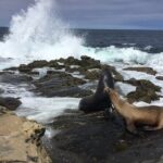 Full Day Private SD Tour from Encinitas - Detailed Breakdown of the Itinerary