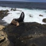 Full Day Private SD Tour from La Jolla - Why This Tour Offers Good Value