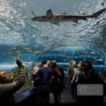 Full Day Private Sightseeing Tour in Toronto - Why This Tour Offers Good Value
