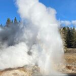 Full Day Private Wildlife/Geyser Tour from West Yellowstone - Who Will Enjoy This Tour?