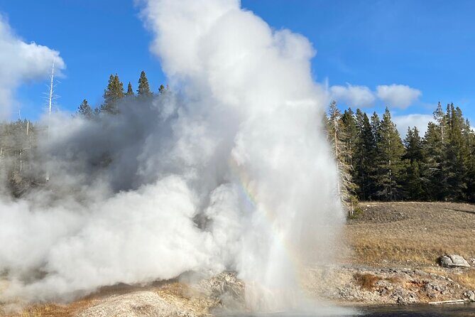 Full Day Private Wildlife/Geyser Tour from West Yellowstone - Who Will Enjoy This Tour?