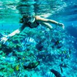 Full-Day Reef Snorkeling in Cozumel from Cancun with Lunch - Authentic Perspectives from Travelers