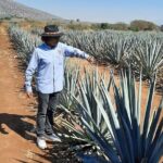 Full-Day Tequila Tour from Guadalajara - Analyzing the Value