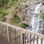 Full Day Tour from Atlanta to Amicalola Falls and Blue Ridge - Final Thoughts