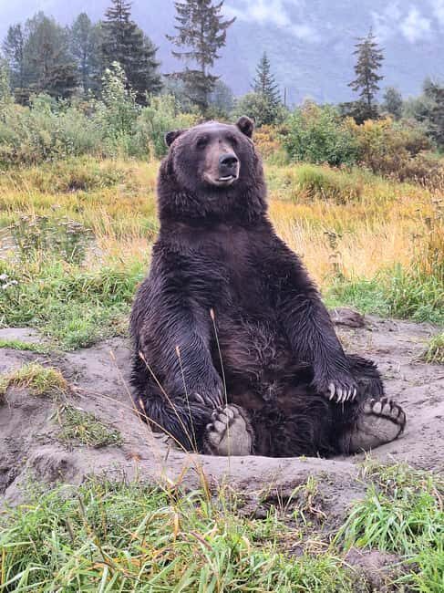 Full-day Tour in Turnagain - Who Will Love This Tour?