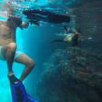 Full-Day Tour Nature Experience at Isla Espiritu Santo! Sea Lions - Who Will Love This Tour?