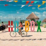 Full Day Tour of Isla Holbox and Isla Pasión with Cenote - How Well Does It Value For Money?