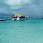 Full Day Tour to Isla Contoy and Isla Mujeres from Cancun - Why It Offers Good Value