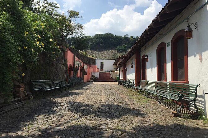 Full-Day Tour to La Fortaleza Distillery and Cantaritos - Who Should Consider This Tour?