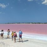Full-Day Tour to Las Coloradas Pink Paradise in Yucatan and Rio Lagartos. - Who Should Consider This Tour?