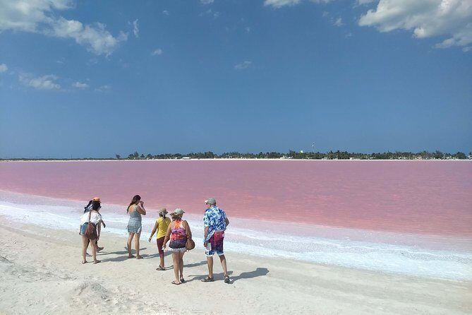 Full-Day Tour to Las Coloradas Pink Paradise in Yucatan and Rio Lagartos. - Who Should Consider This Tour?