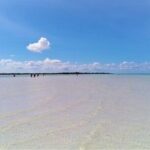 Full Day Tour to the Best of Holbox - Authentic Experiences and Traveler Insights