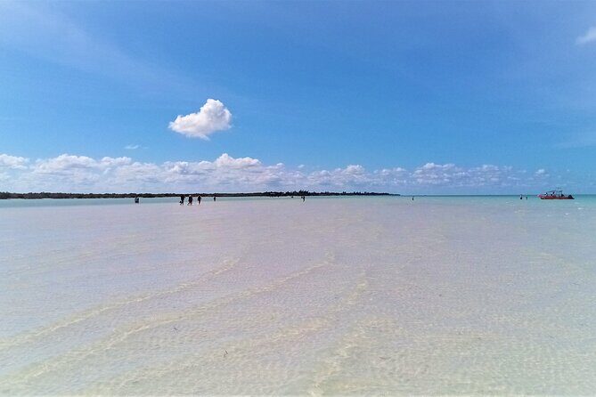 Full Day Tour to the Best of Holbox - Authentic Experiences and Traveler Insights