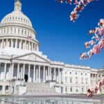 Full Day Washington DC & Mount Vernon Tour - Who Would Love This Tour?