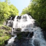 Full Day Waterfalls Tour in North Georgia with Scenic Hikes - Real-World Insights from Reviews