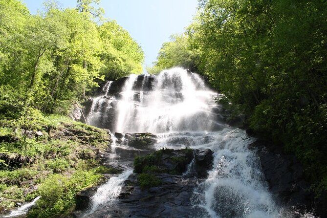 Full Day Waterfalls Tour in North Georgia with Scenic Hikes - Real-World Insights from Reviews