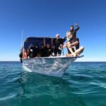 Full-Day Whale Shark Snorkeling Adventure with Beach Lunch - What’s Included and What to Consider