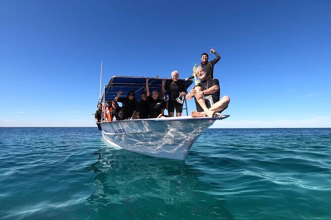 Full-Day Whale Shark Snorkeling Adventure with Beach Lunch - What’s Included and What to Consider