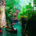 Full day Xcaret Plus & Buffet & from Cancun & Playa del Carmen - What the Tour Offers: A Detailed Breakdown