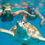 Full-dayTurtle Adventure: ATV, Zipline, Cenote & Turtle Swim - What’s Included & What’s Not