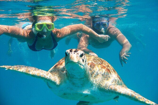 Full-dayTurtle Adventure: ATV, Zipline, Cenote & Turtle Swim - What’s Included & What’s Not