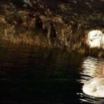 FULL PASS ACTIVITY IN CANCUN - What Travelers Say