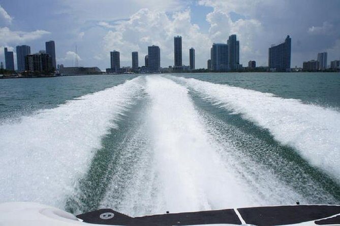 Fully Private Speed Boat Tours, VIP-style Miami Speedboat Tour of Star Island! - How Does the Tour Work?