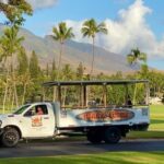 Fun & Affordable! West Maui Open-Air Sightseeing Tour! - Who Should Book This Tour?
