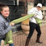 Fun City Scavenger Hunt in Mississauga by Zombie Scavengers - The Practicalities and Value