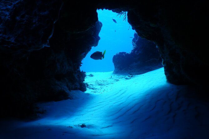 Fun dives Cozumel south marine park - Final Thoughts