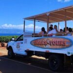 Fun! Open-Air Banyan Tree Forest & Blowhole Sight-Seeing MauiTour - Pricing and Value