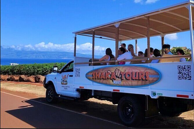 Fun! Open-Air Banyan Tree Forest & Blowhole Sight-Seeing MauiTour - Pricing and Value