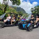 FUV Expedition: Your Epic Island Quest! - Who Will Love This Tour?