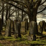 Galveston: Old City Cemetery Walking Tour with Local Guide - Who Should Book This Tour?