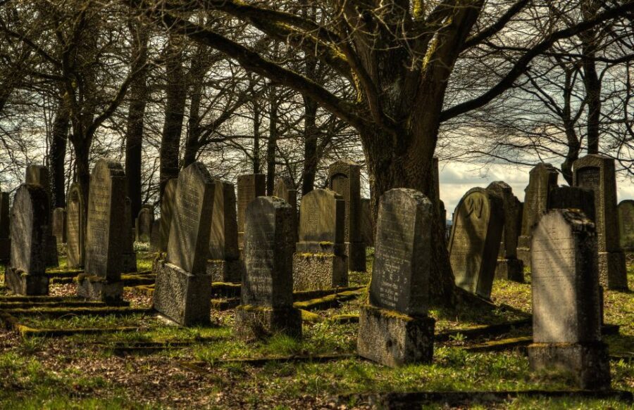 Galveston: Old City Cemetery Walking Tour with Local Guide - Who Should Book This Tour?