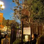 Gaslamp's Wild Past: Daytime History Tour - Who Will Love This Tour?