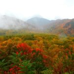 Gatlinburg: Smoky Mountains Fall Foliage Guided Tour - Practical Details: What to Know Before You Go