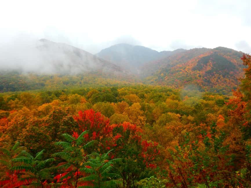Gatlinburg: Smoky Mountains Fall Foliage Guided Tour - Practical Details: What to Know Before You Go