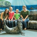 Georgia Aquarium: Sea Lion Encounter - An In-Depth Look at the Sea Lion Encounter