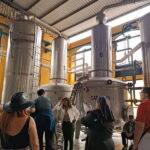 Get on Chile: know everything about tequila in "La Rienda" - The Itinerary in Detail