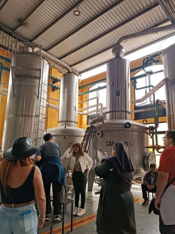 Get on Chile: know everything about tequila in "La Rienda" - The Itinerary in Detail