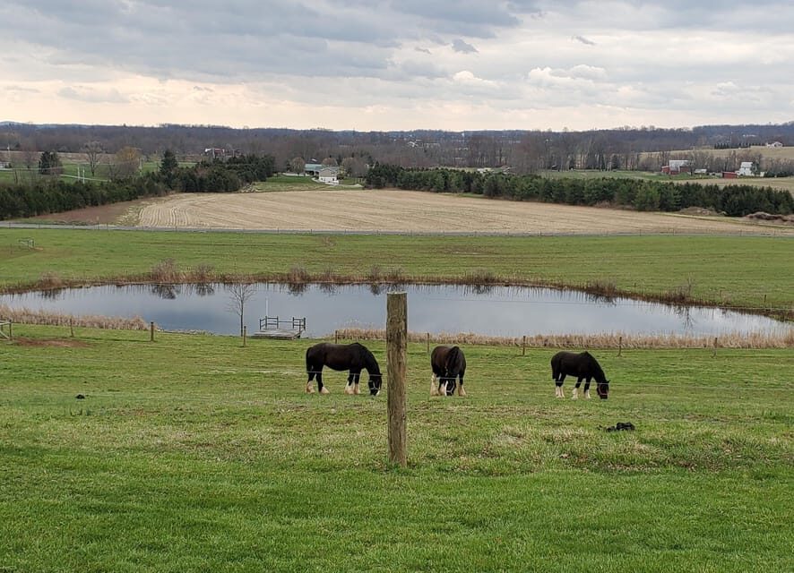 Gettysburg: Horse-Drawn Carriage Tour Countryside & Orchards - What the Tour Includes