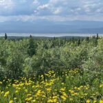 Glacial Lake, Waterfall and rainforest. Beauty of Turnagain! - The Experience in Detail