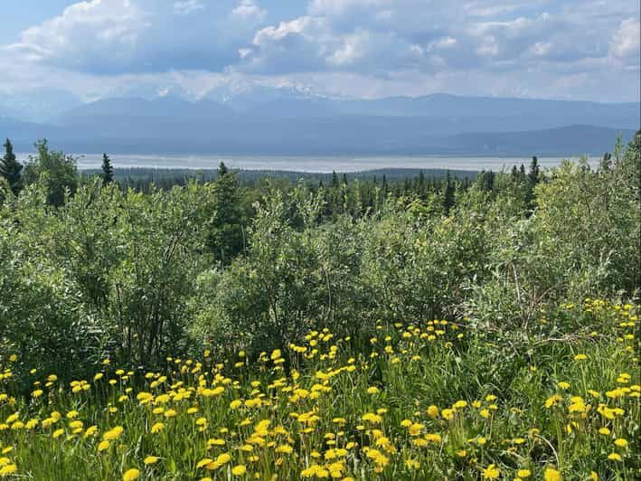 Glacial Lake, Waterfall and rainforest. Beauty of Turnagain! - The Experience in Detail