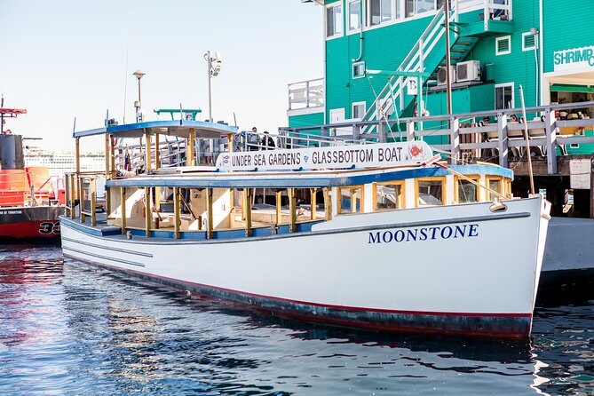 Glass Bottom Boat: Catalina Island Tour - Who Is This Tour For?