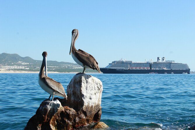 Glass Bottom Boat in Cabo San Lucas, free time in Playa del Amor - The Value and Who It’s For