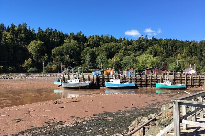 Go Fundy Tours - Who Would Love This Tour?