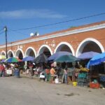 Go Maya by bike in Valladolid (Local market-Cenotes-Mayan Family) - Who Should Consider This Tour?