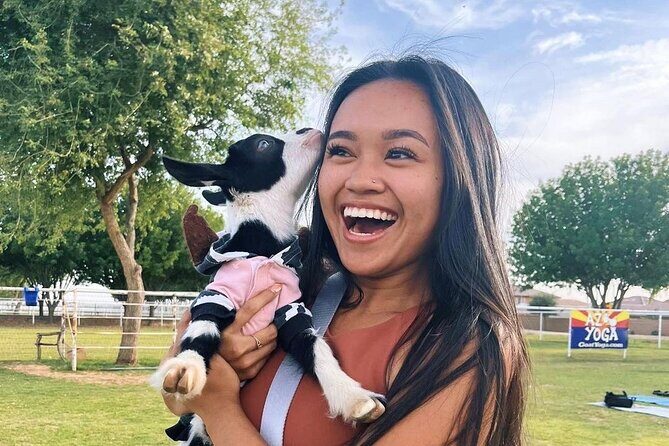 Goat and Alpaca Sound Bath - Gilbert Arizona - Who Will Love This Tour?
