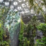 Golden Gate Park Tour With California Academy of Sciences - What Makes This Tour Valuable